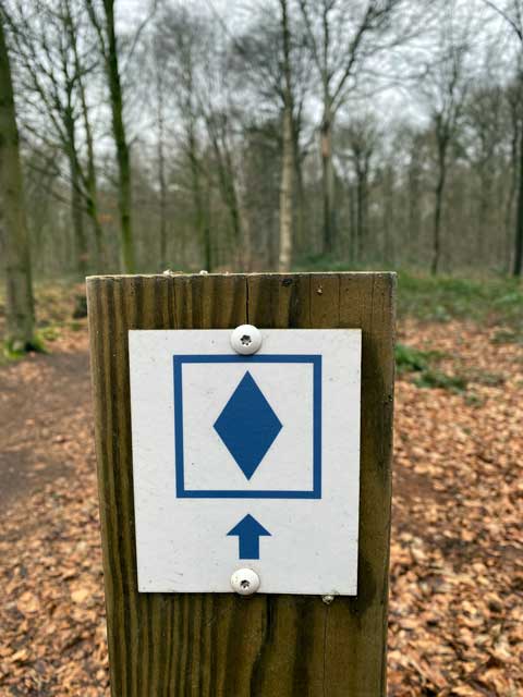 Info Bosleerpad Groenhove | Wandelroutes Vlaanderen